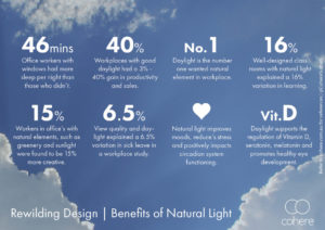 The Importance of Natural Light In Your Office Environment | JPA Workspaces